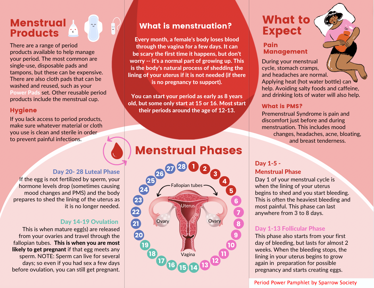 Power Pads – Sparrow Society